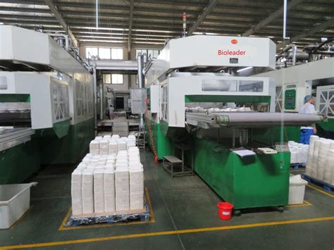 What Is Pulp Molding Process Of Molded Pulp Packaging