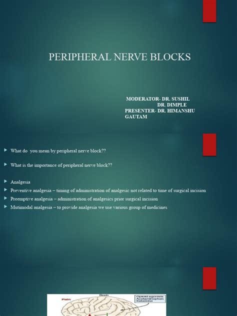 Peripheral Nerve Blocks Himanshu Pdf Arm Elbow