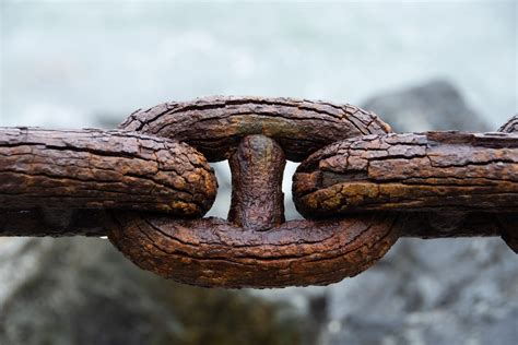 Master Thesis Blockchain Implementation In Shipping Supply Chains