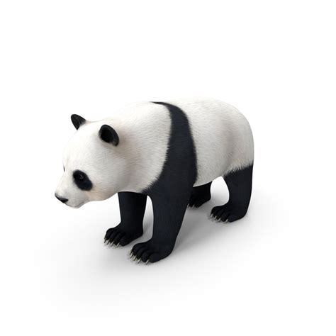 How To Rearrange Columns In Pandas Png Images And Psds For Download Pixelsquid