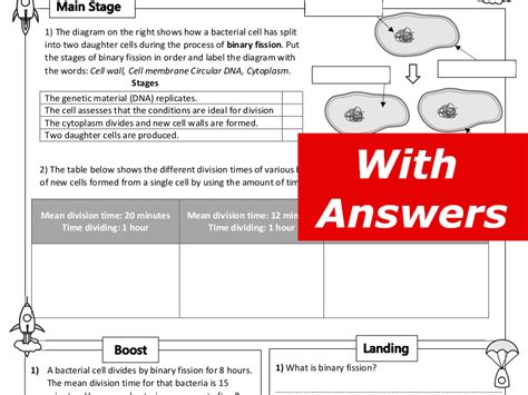 Binary Fission Home Learning Worksheet GCSE Teaching Resources