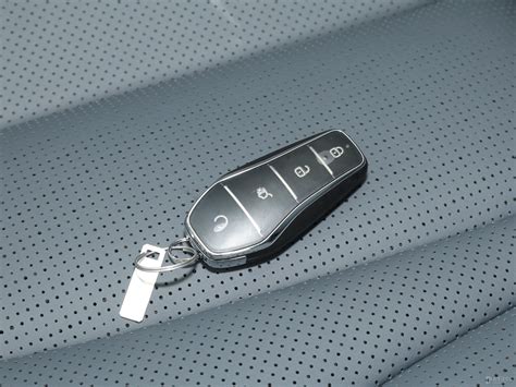 海狮06dm I细节实拍高清大图 海狮06dm I 2026款 310远航版第7张图片大全 太平洋汽车