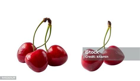 헤리 베리는 흰색으로 분리되어 있습니다 텍스트를 위한 복사 공간이 있는 체리 과일 하얀 배경 컷아웃에 격리된 달콤한 체리 클리핑 패스 포함 0명에 대한 스톡 사진 및 기타