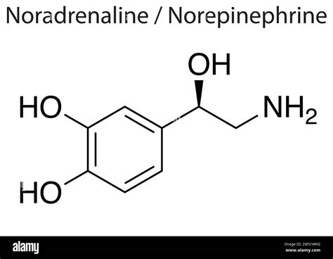 Noradrenaline Structure