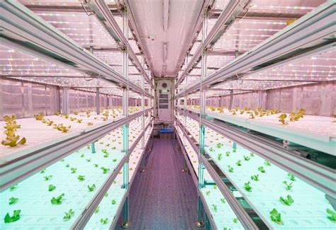 Shipping Container Vertical Farming Systems Alta Cea