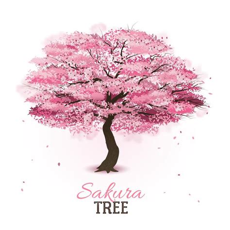 Sakura Vector Art Icons And Graphics For Free Download