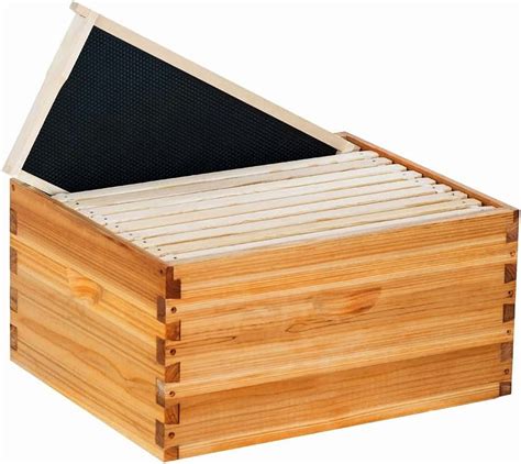 10 Frame Deep Brood Beehive Box Wax Coated Bee Hives Includes Beehive