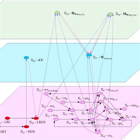 Connectivity Of The Microbiome And Asd Related Adaptive Network Model Download Scientific Diagram