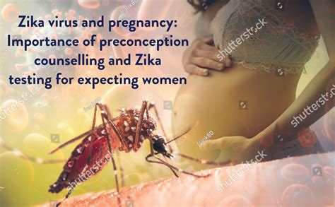 Zika Virus And Pregnancy Importance Of Preconception Counselling And