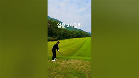 골린이 입문 2개월차 골프스타 골프 골프스윙 드라이버스윙 드라이버 Youtube