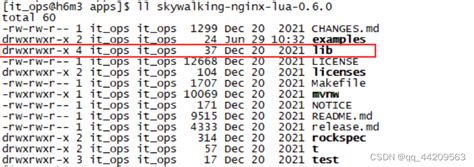 nginx纳入skywalking调用链监控 skywalking nginx csdn博客