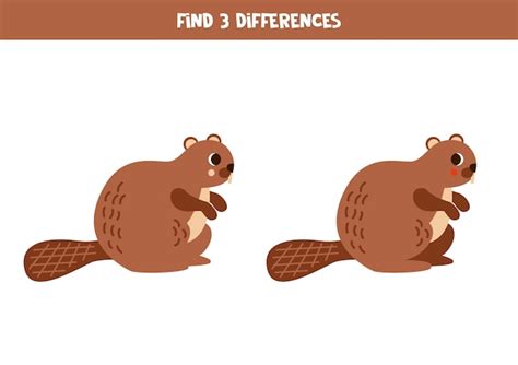 두 귀여운 만화 비버의 차이점 3가지 찾기 프리미엄 벡터