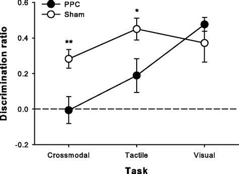 A Distributed Cortical Representation Underlies Crossmodal Object Recognition In Rats Journal