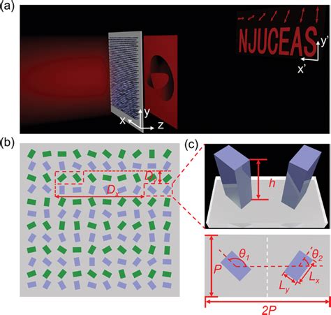 A Schematic Diagram Of The Complex Amplitude‐modulated Metasurface Download Scientific Diagram