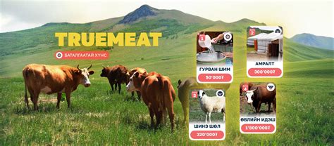 ГАЛБИНГАА уран сайхны киноныхоо албан ёсны трейлерийг та бүхэндээ хүргэж байна 🤗 2025 05 08