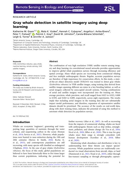 Pdf Gray Whale Detection In Satellite Imagery Using Deep Learning