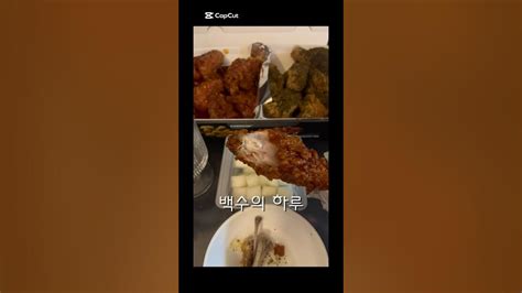백수기록일기4 백수브이로그 백수일상 브이로그 강아지 강아지일상 Vlog 자취요리 고양이일상 고양이 Youtube