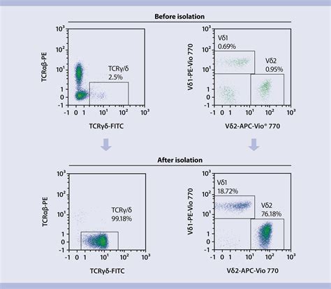Gamma Delta T Cells Research Solutions Miltenyi Biotec Italia