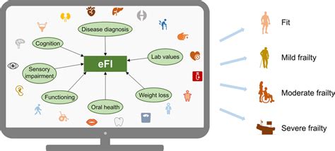 Schematic Diagram Illustrating Construction Of An Electronic Frailty Download Scientific