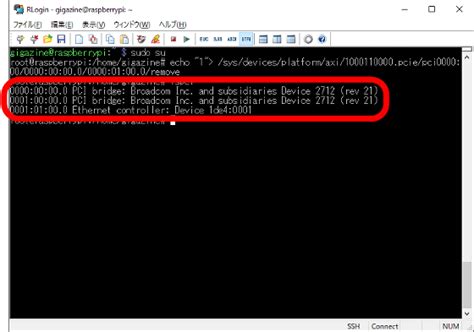 Summary Of How To Connect A PCIe Expansion Card To Raspberry Pi 5 Detailed Explanation Of