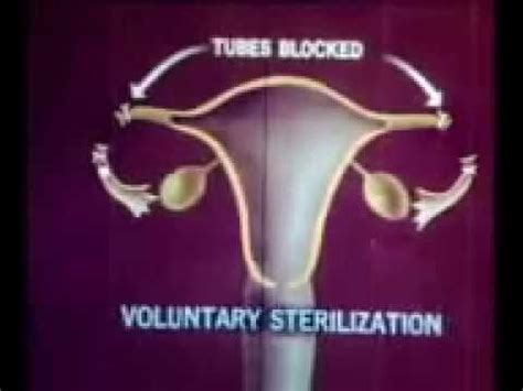 Sex Education In Sinhala YouTube