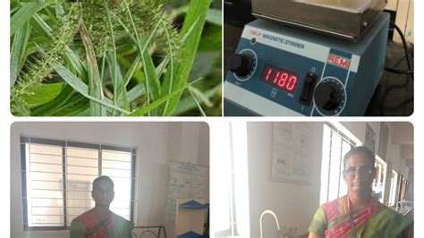 Biosynthesis Of Zinc Oxide Nanoparticles A Green Revolution In