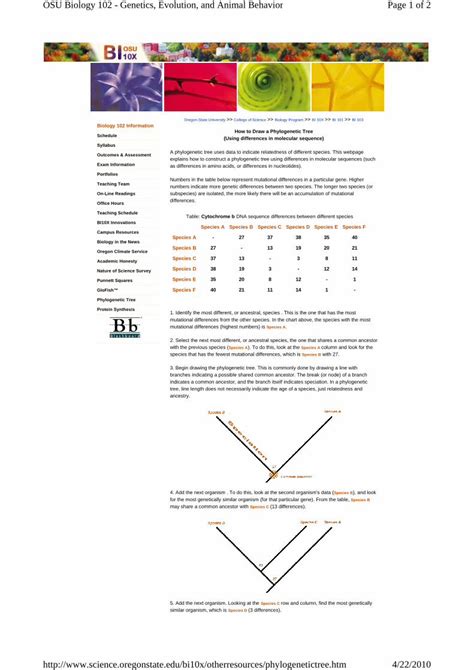 Pdf How To Draw A Phylogenetic Tree Dokumen Tips