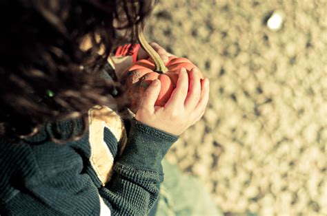 Small Hands Small Pumpkin Free Stock Photo Public Domain Pictures