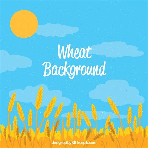 손으로 그린 밀 배경 무료 벡터
