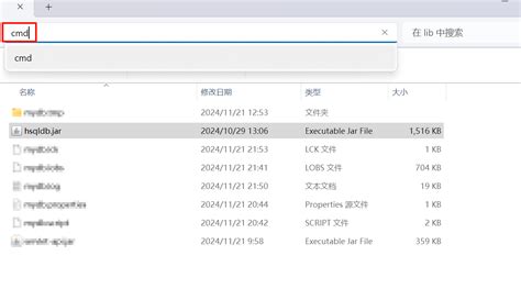 数据库 Hsqldb使用教程详解 Ew帮帮网