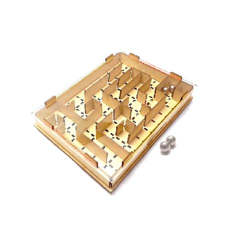 Dynamic Maze Toy Mart