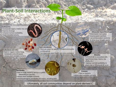 Microbial Media Scow Soil Microbial Ecology Lab