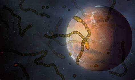 Alien Breakthrough Life On Mars Could Be Discovered In Just Five Years Says Expert Science