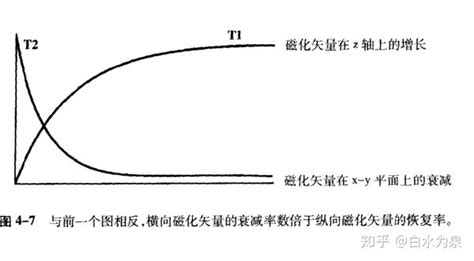 磁共振t1、t2弛豫如何同步发生和分别采集 知乎