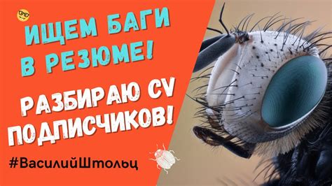 Разбор резюме тестировщиков и программистов Типичные ошибки в Cv Youtube