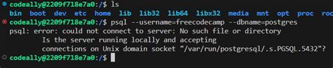 Unable To Connect To Postgres Backend Development The Freecodecamp