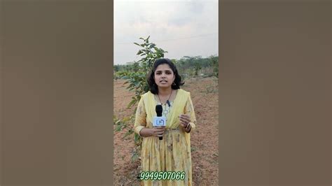 Offerstrendingytshortsshortvideos Youtube