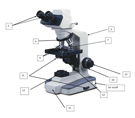 Using A Microscope Practical T Diagram Quizlet