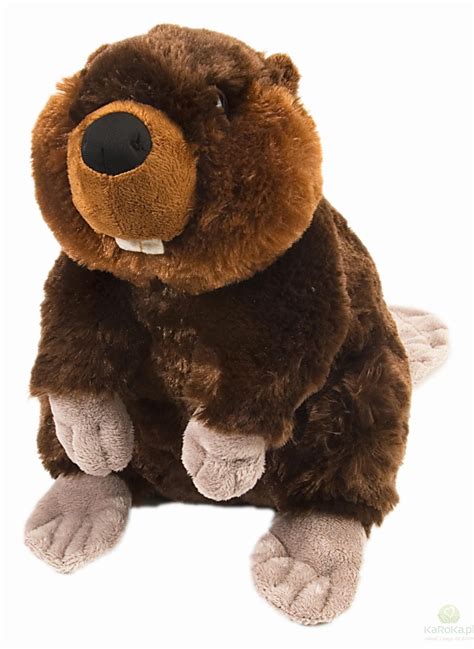 Wild Republic Beaver Wild Republic Bóbr Maskotka Pluszowa Maskotki Przytulanki 30 Cm 50