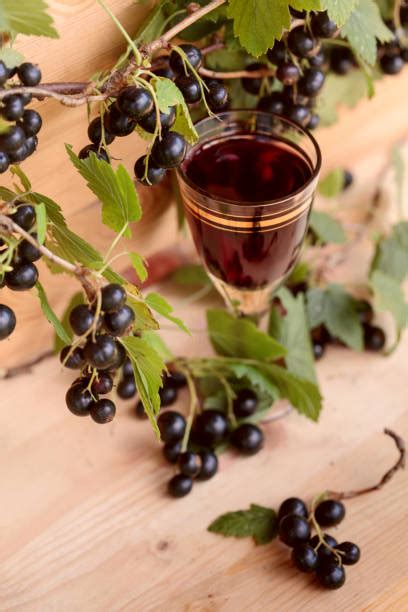 Cassis Beere Bilder Und Stockfotos Istock