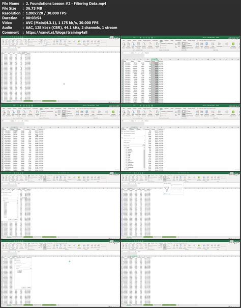Microsoft Excel Beginner To Intermediate Data Analysis SoftArchive