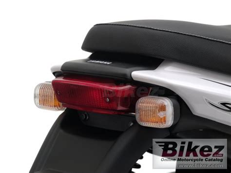 Yamaha Slider Naked Gallery