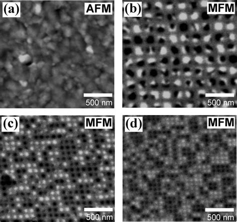 Switching Field Distribution Of Planar Patterned Crpt3 Nanodots