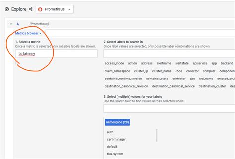 Adding Prometheus Annotations To Inferenceservice Does Not Show Torchserve Metrics · Issue 2894