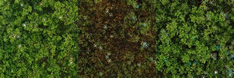 Deepforest开源程序是用于 Airborne Rgb 机器学习的 Python 软件包 技术栈