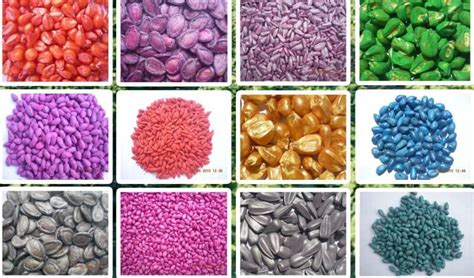 Seed Treatment Machine For Grain Dressing Coating