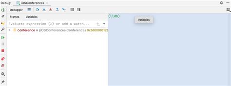 Debug Tool Window Appcode Documentation