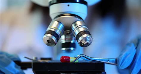 Microscopic Analysis Of A Red And Yellow Capsule Stock Footage Video Of Science Testing