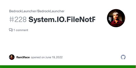 Systemiofilenotfoundexception · Issue 228 · Bedrocklauncher