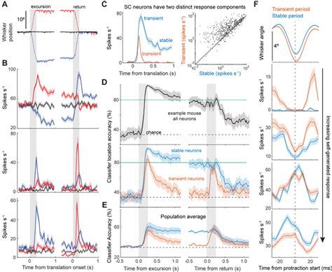 Superior Colliculus Accurately Encodes Surface Location Across Multiple Download Scientific